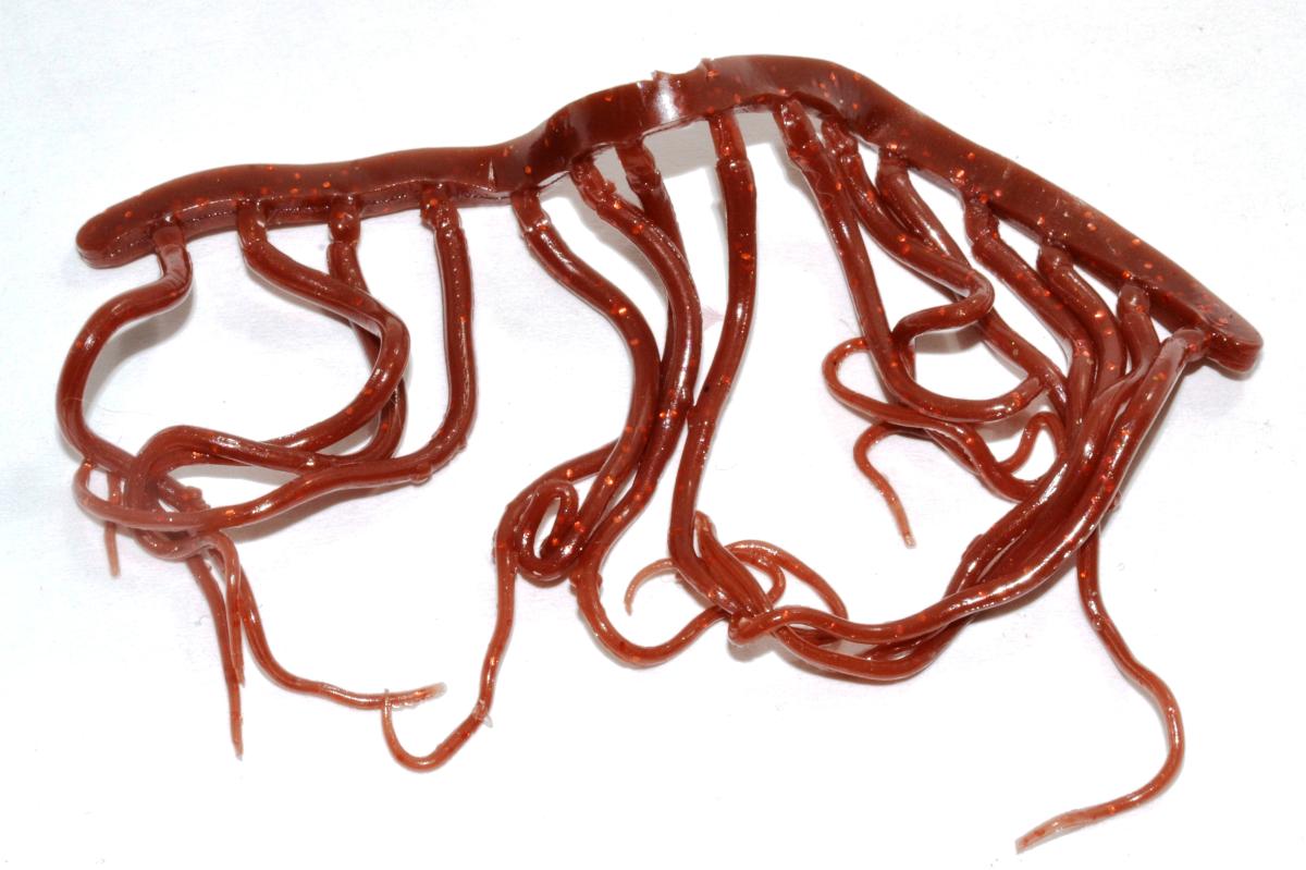 Mini Squiggle Worm - Kalastusväline Rialinna