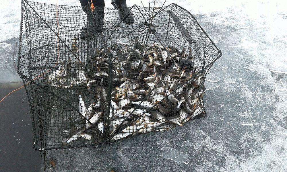 Pietarin Lokka katiska - Kalastusväline Rialinna