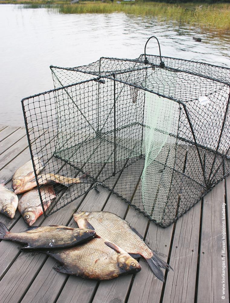 Pietarin Rampo katiska - Kalastusväline Rialinna