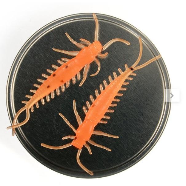 Microbite Arthropod 65mm 6kpl - Kalastusväline Rialinna