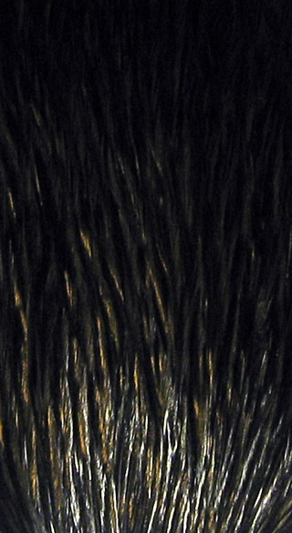 Kukonniska pro grade streamer Whiting - Kalastusväline Rialinna